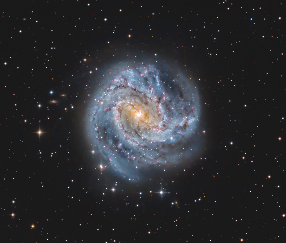 Southern Pinwheel, M83 | Telescope Live